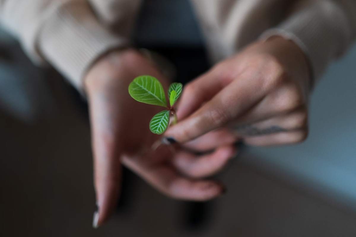 Ongrace | Doação PIX | O Portal da Igreja Internacional da Graça de Deus